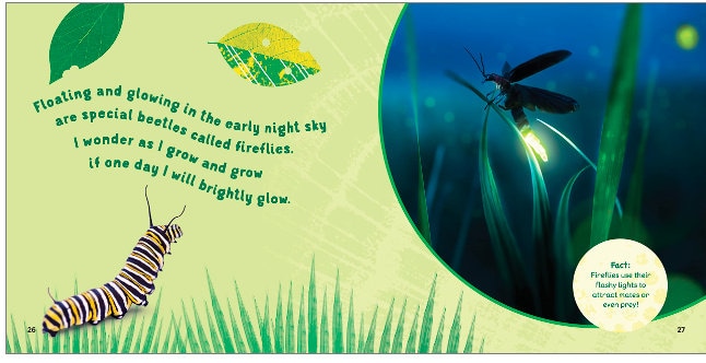 Backyard Bug Book for Kids: Insect Facts and Activities - Paperback - Etsy