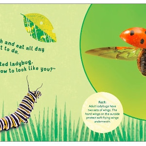 The Backyard Bug Book for Kids: Storybook, Insect Facts, and Activities ...