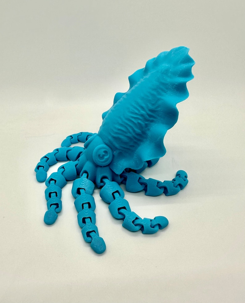 3D Printed Articulating Flexible Cuttlefish Sensory Toy Gadget - Etsy