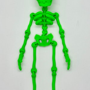3D Printed Articulating Skeleton Flexible Sensory Toy Gadget Flexi ...