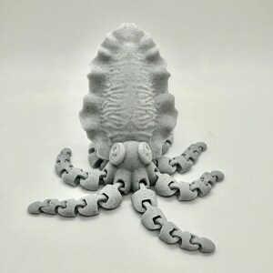 3D Printed Articulating Flexible Cuttlefish Sensory Toy Gadget Fidget ...