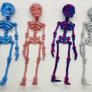 3D Printed Articulating Skeleton Flexible Sensory Toy Gadget Flexi ...