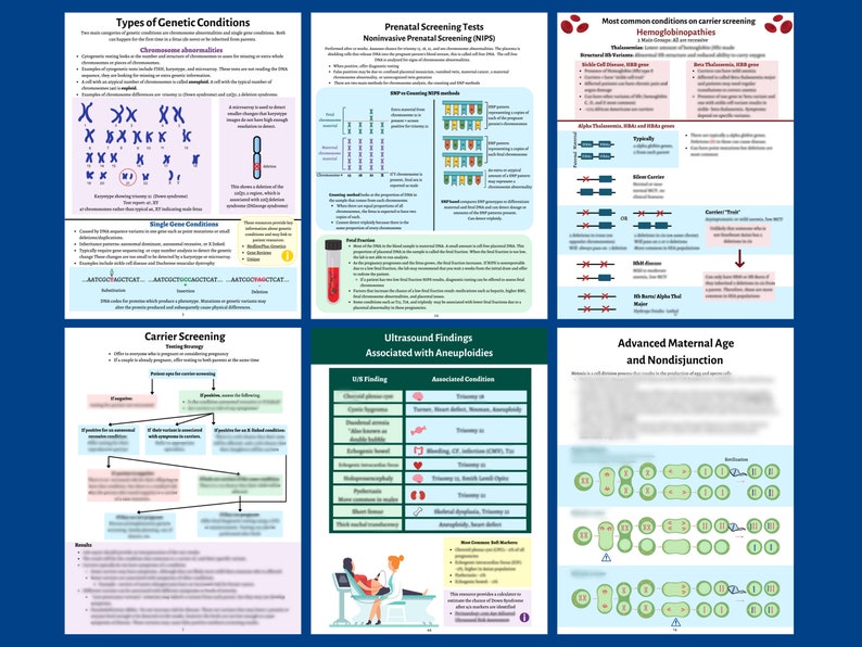 Guide to Reproductive Genetic Testing for Healthcare Professionals - Etsy