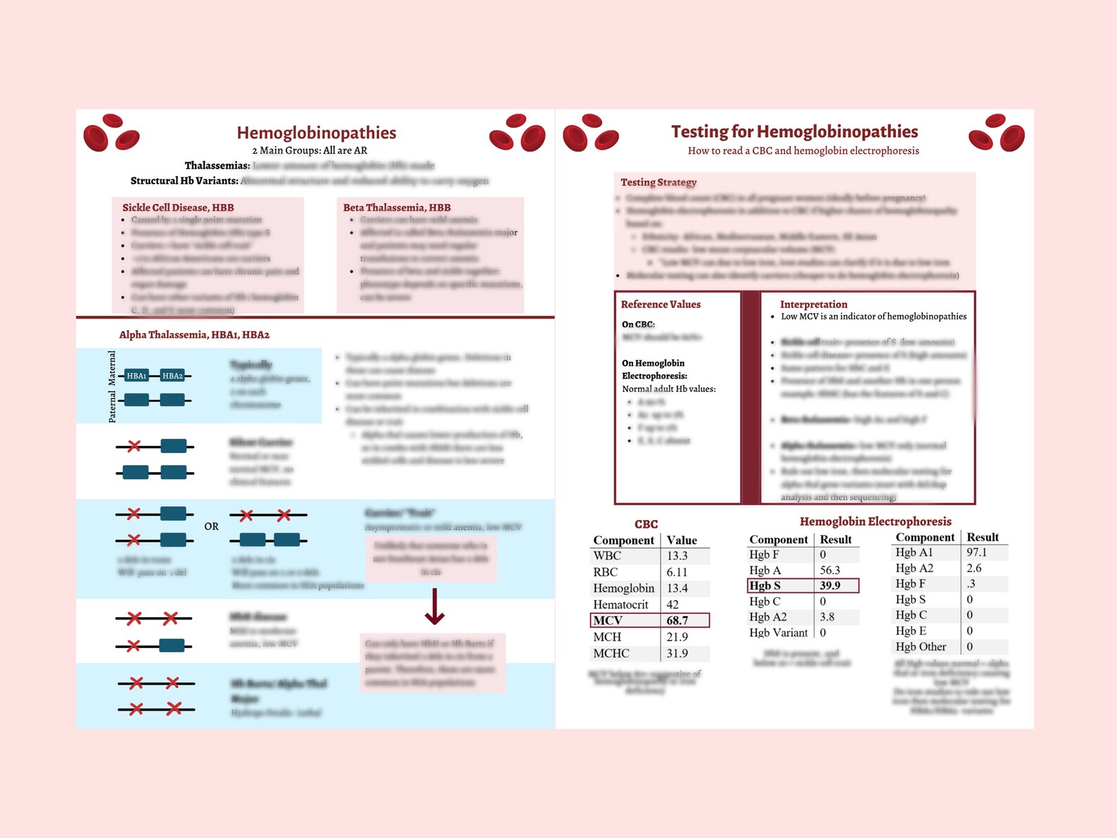 Hemoglobinopathies Guide for Genetic Counselors - Etsy