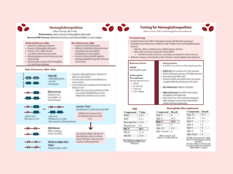 Hemoglobinopathies Guide for Genetic Counselors - Etsy