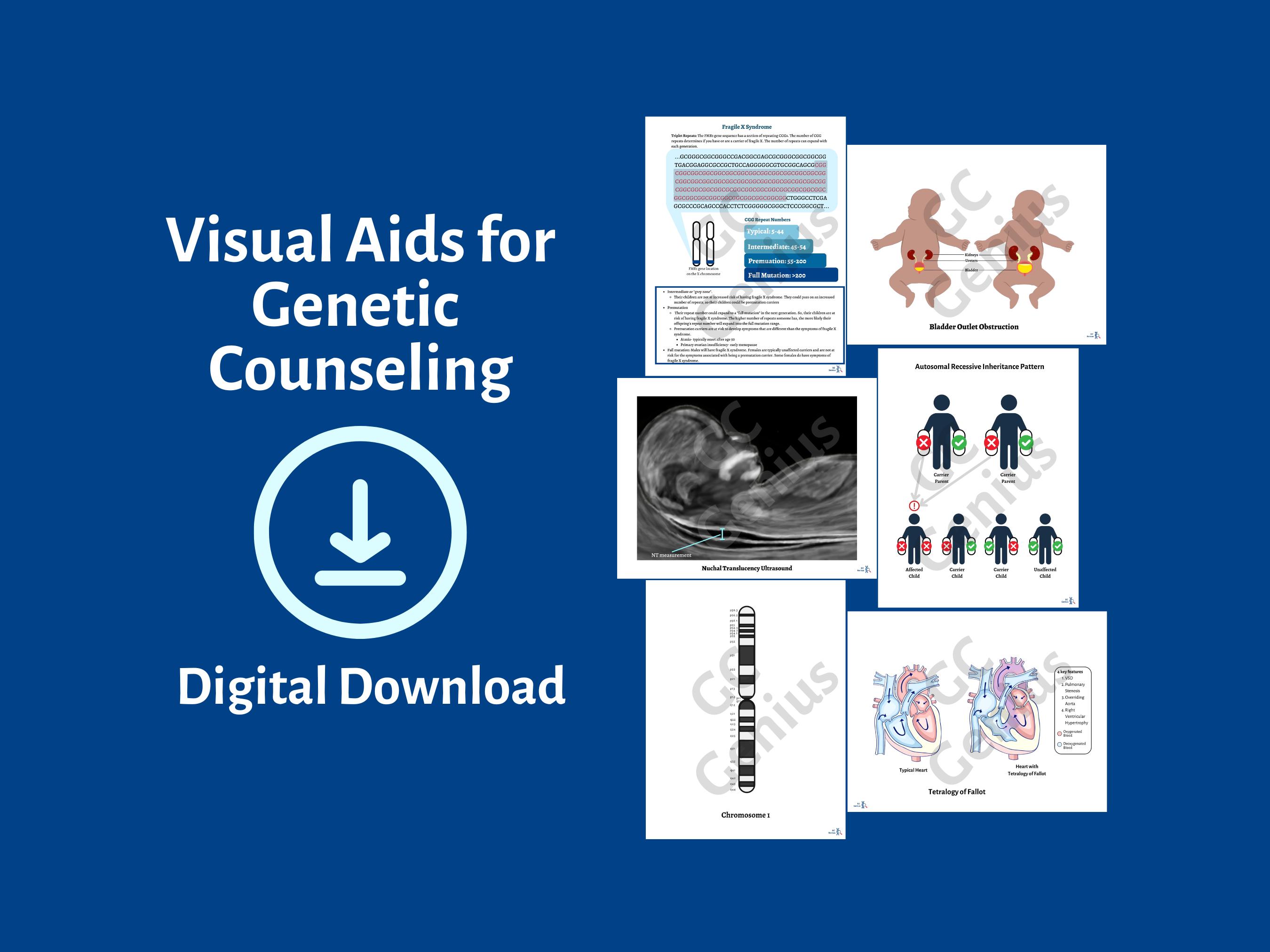 Visual Aids for Genetic Counseling | Digital Download - Etsy