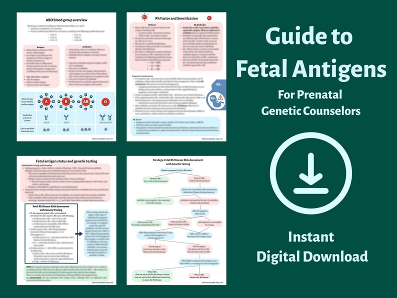 Guide to Fetal Antigens for Prenatal Genetic Counselors - Etsy