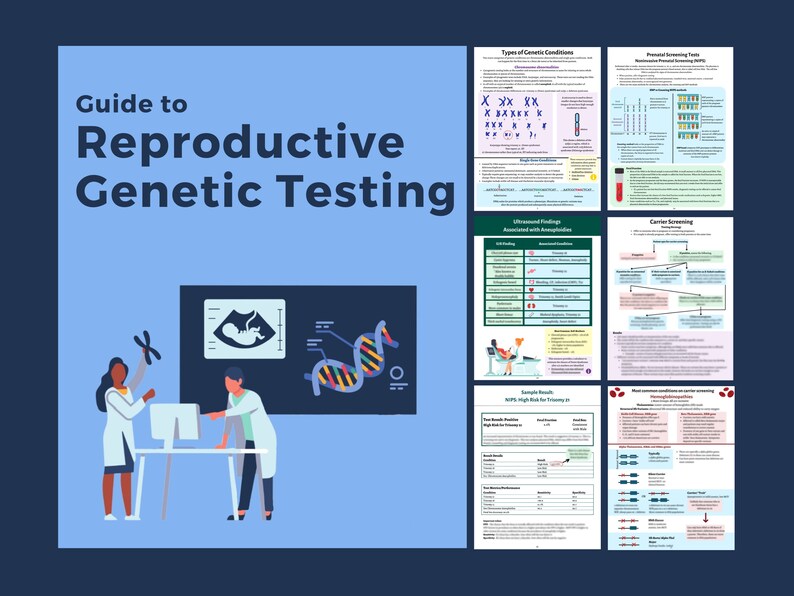 Guide to Reproductive Genetic Testing for Healthcare Professionals - Etsy