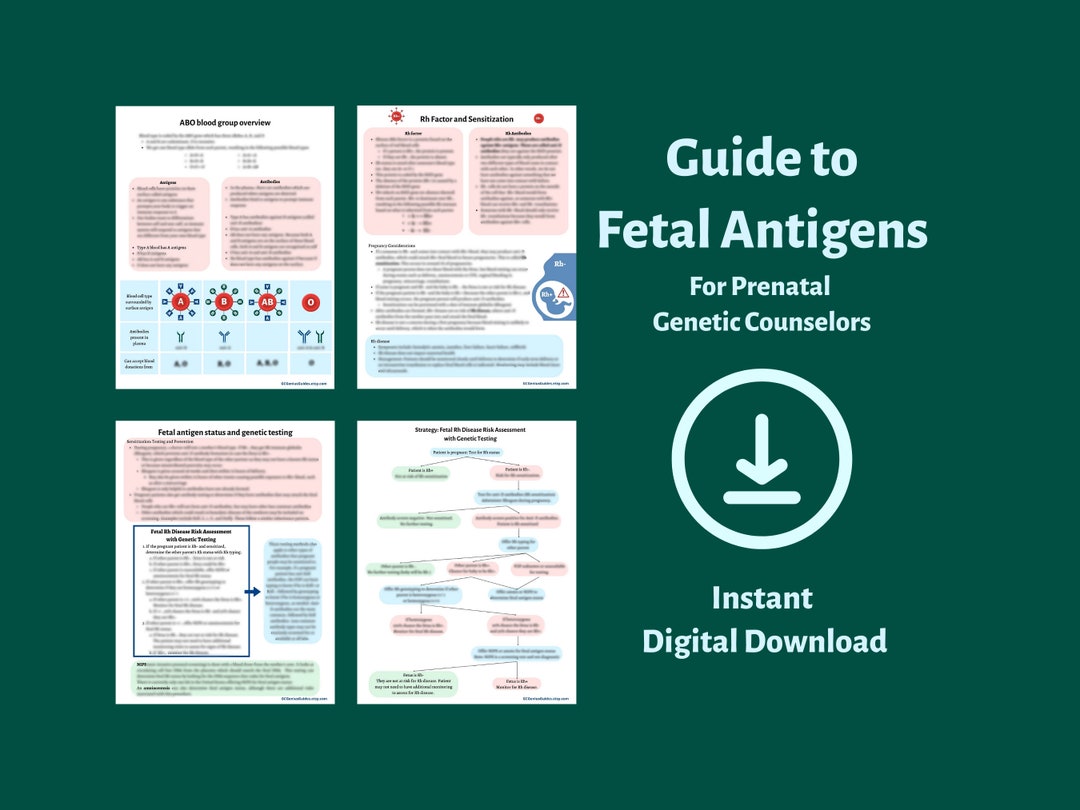 Guide To Fetal Antigens For Prenatal Genetic Counselors Etsy