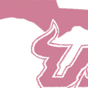 Pink USF Logo With State of Florida - Etsy