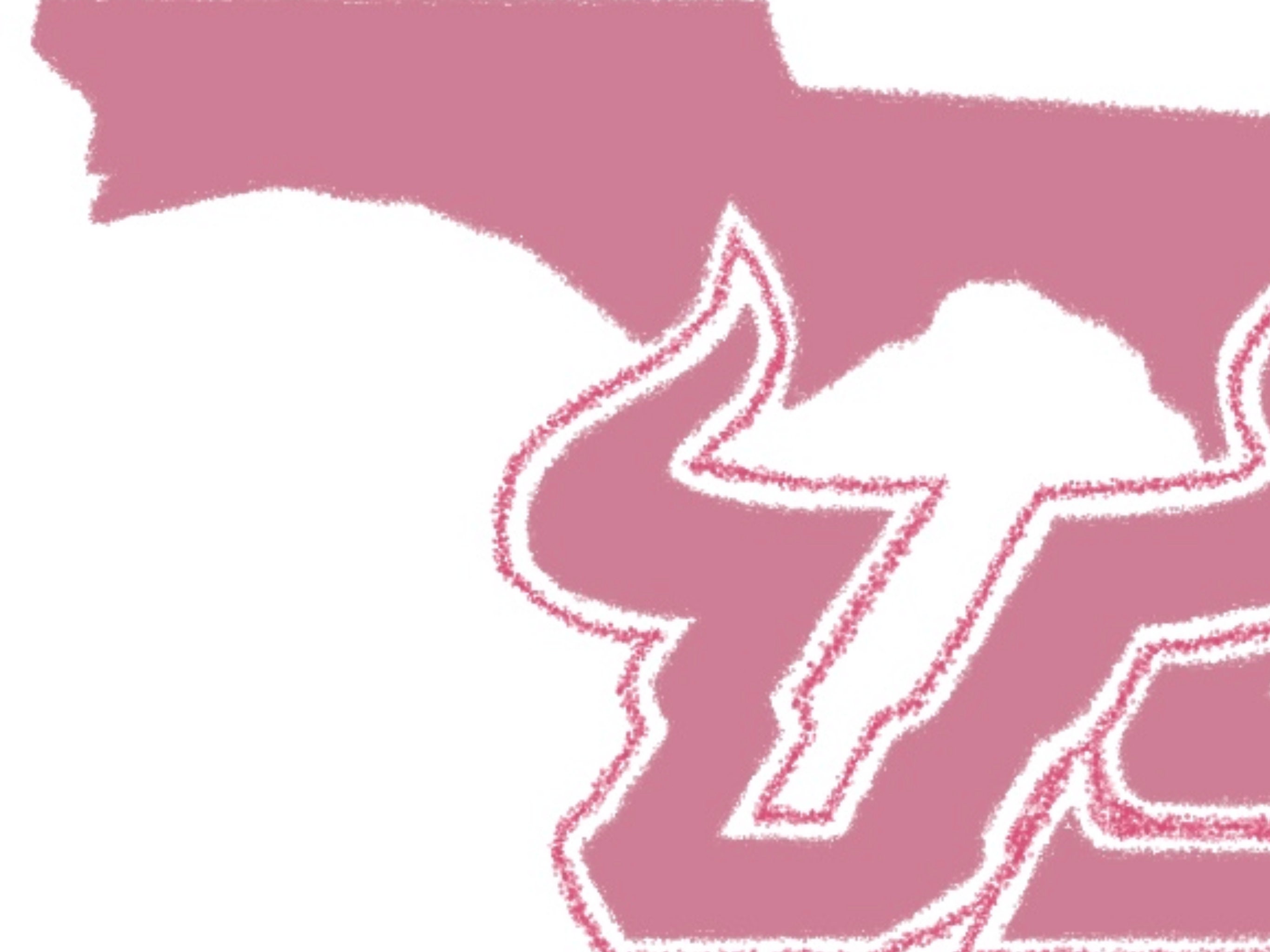 Pink USF Logo With State of Florida - Etsy