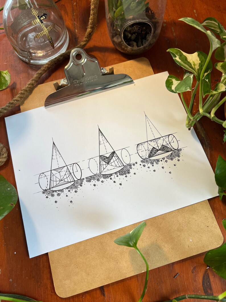 Conical Cross Sections Study - Etsy