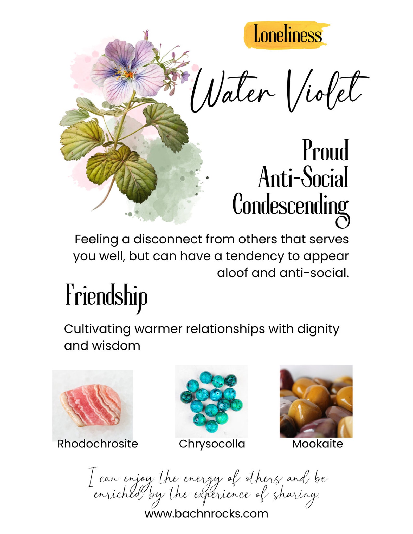Anti-social, Condescending, Isolation ~ Bach Flower Essence WATER ...