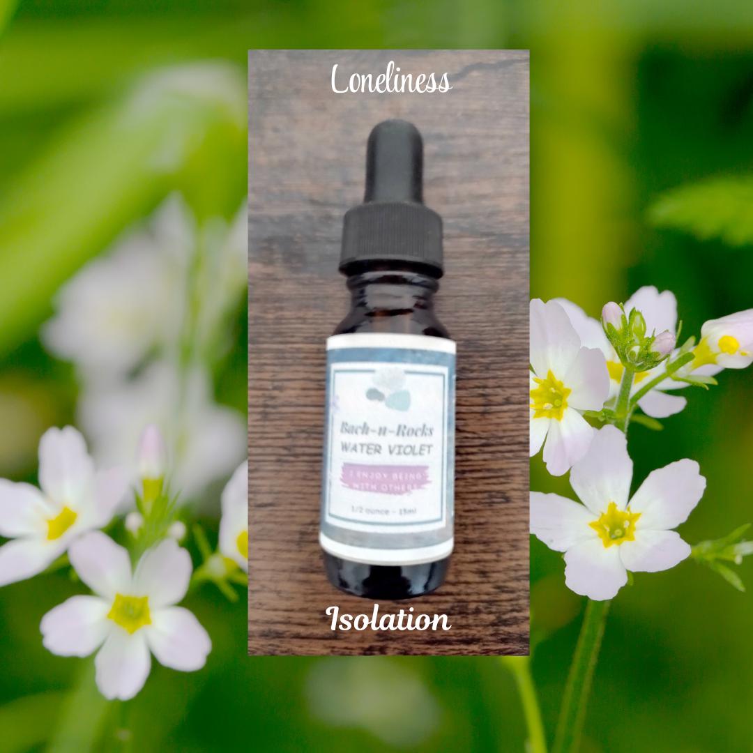 Anti-social, Condescending, Isolation ~ Bach Flower Essence WATER ...