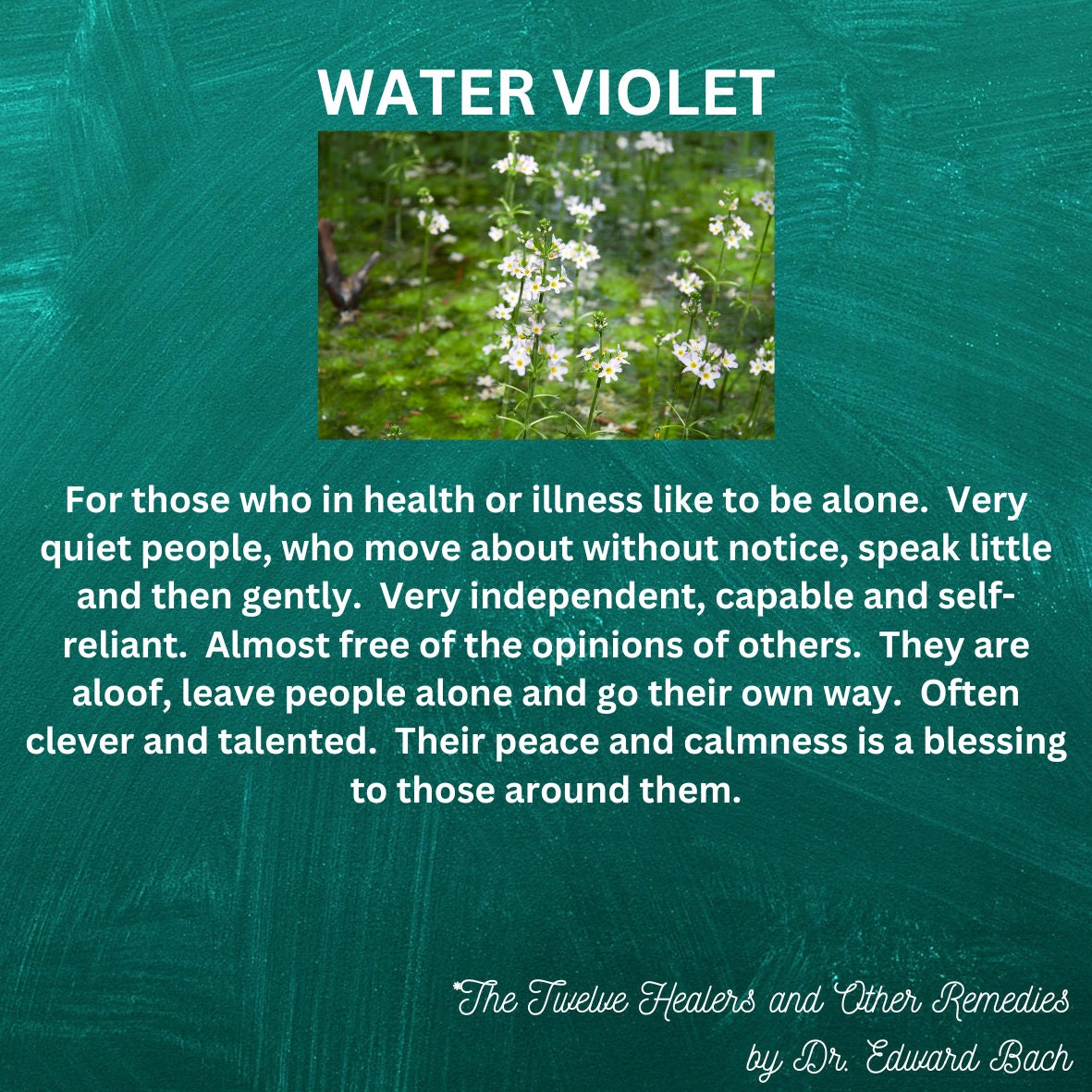 Anti-social, Condescending, Isolation ~ Bach Flower Essence WATER ...