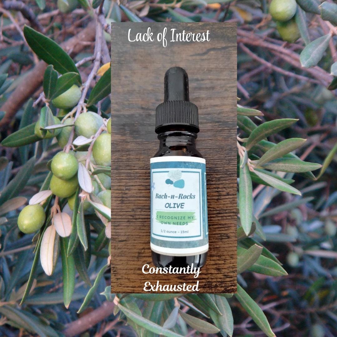 Exhausted, Constantly Weary, Flower Essence, Mental & Physical ...