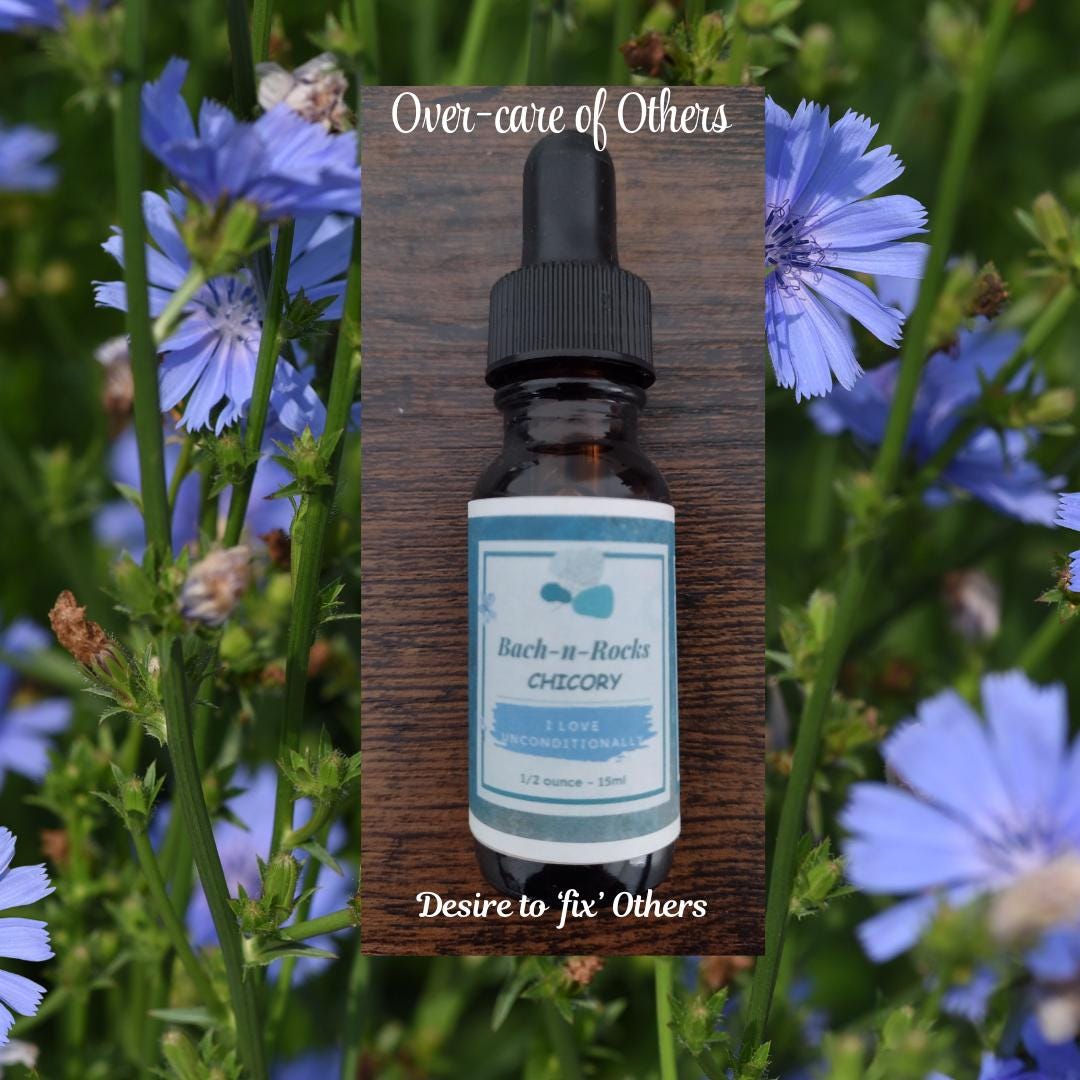 Self-pity, Demanding, Critical, Flower Essence Selfish, Possessive Love ...