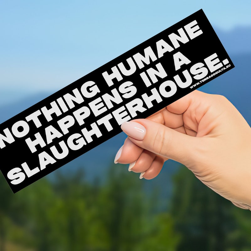 Vegan Sticker - Etsy