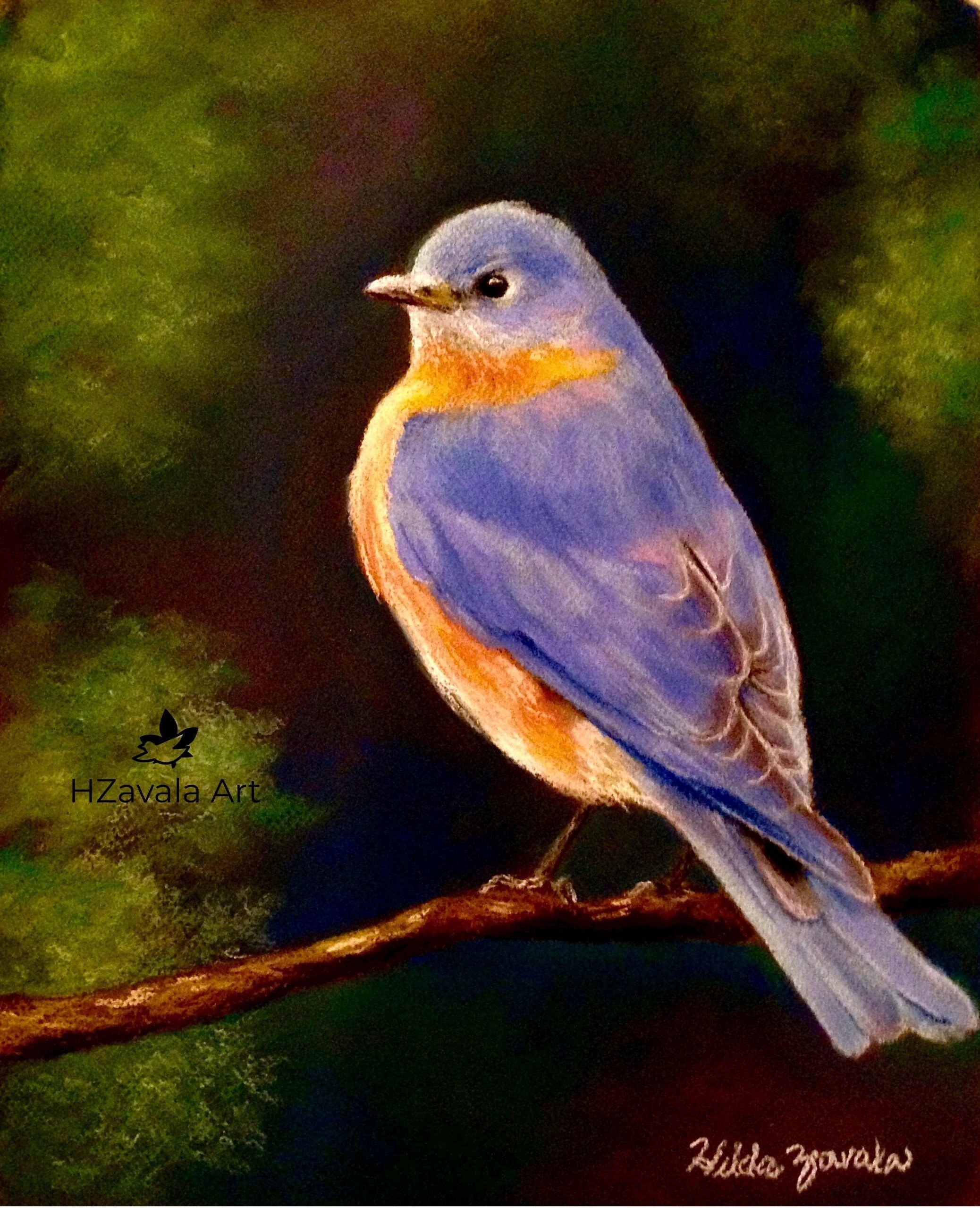 Eastern Bluebird Giclée Art Print - Etsy