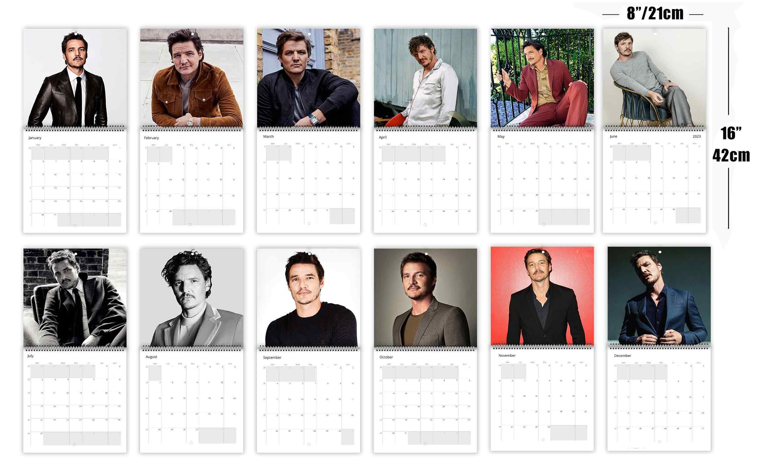 Pedro Pascal personalsied 2024 large Wall calendar sold by Pivotal ...