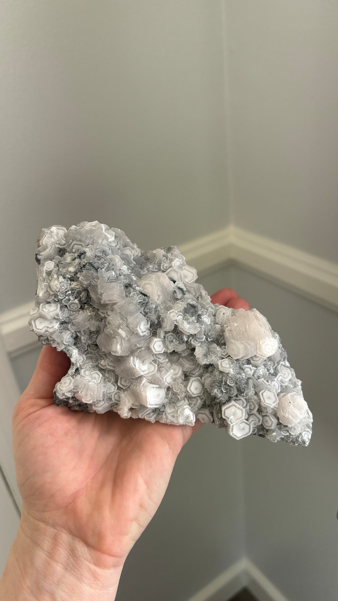 Large Coin Calcite Specimen, Light Pink, Highly UV Fluorescent ...