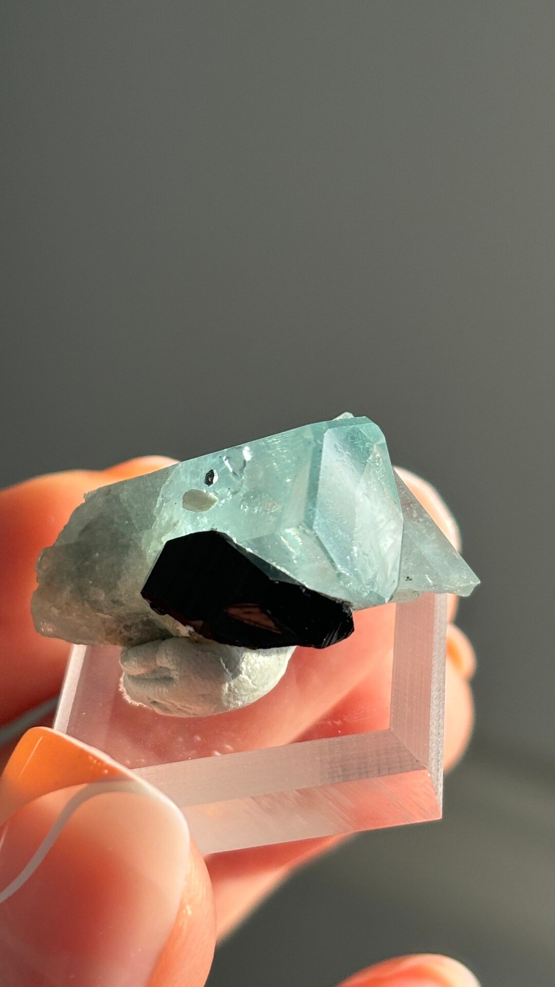 Erongo Aquamarine With Black Tourmaline, Extra Clear and Complete ...