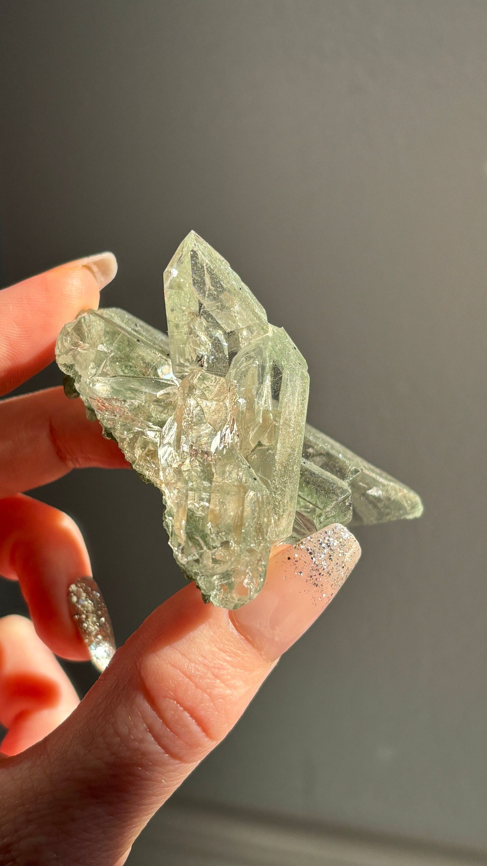 Himalayan Quartz Tabby Cluster, Slightly Smoky, Sparkly Chlorite and ...