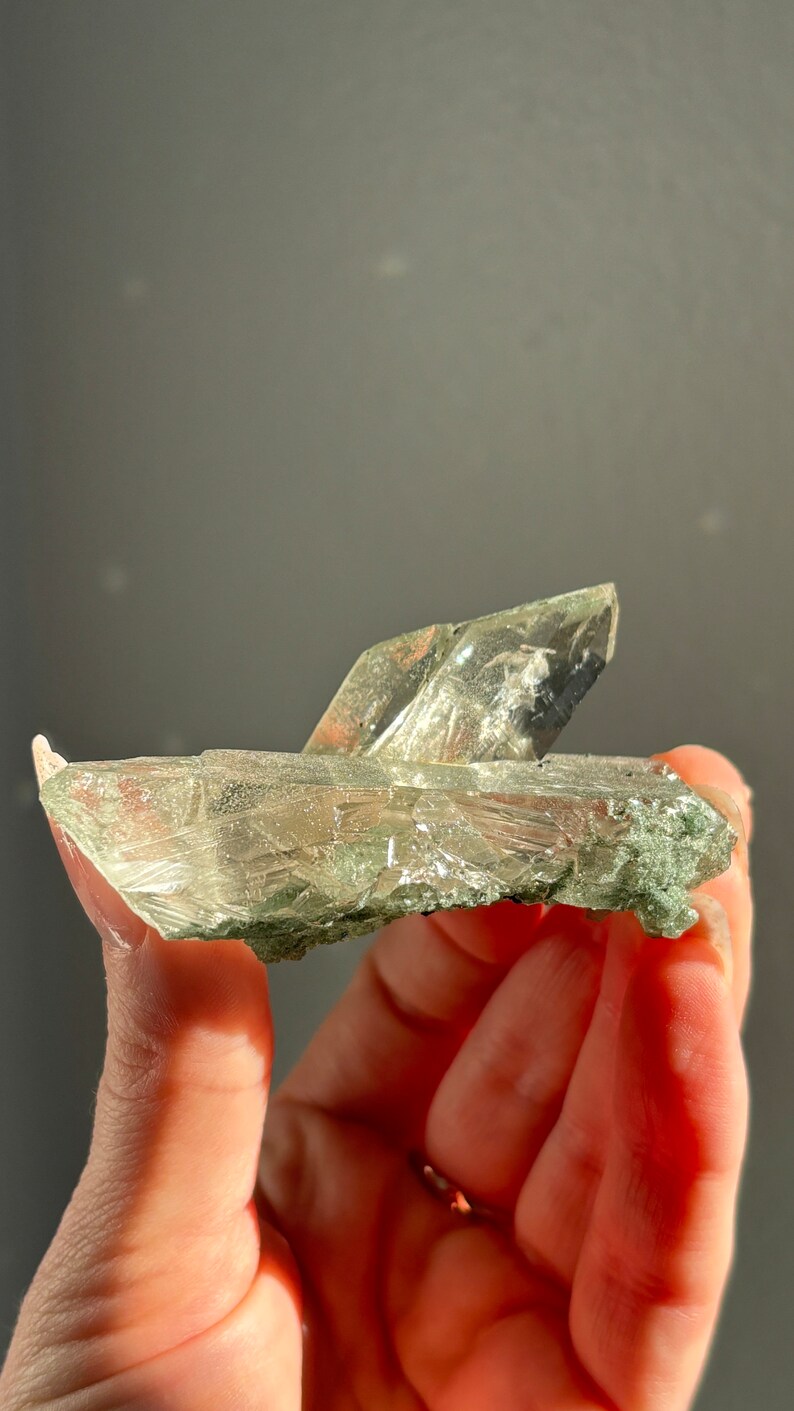 Himalayan Quartz Tabby Cluster, Slightly Smoky, Sparkly Chlorite and ...