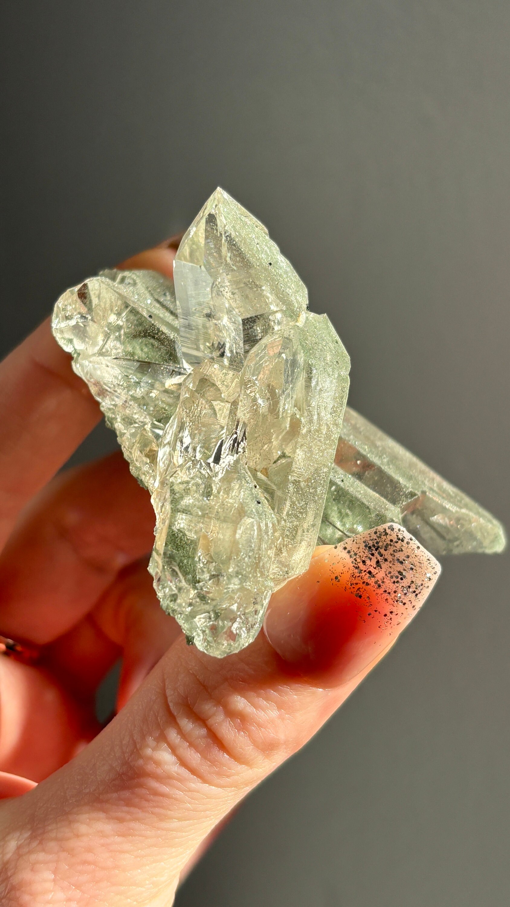 Himalayan Quartz Tabby Cluster, Slightly Smoky, Sparkly Chlorite and ...