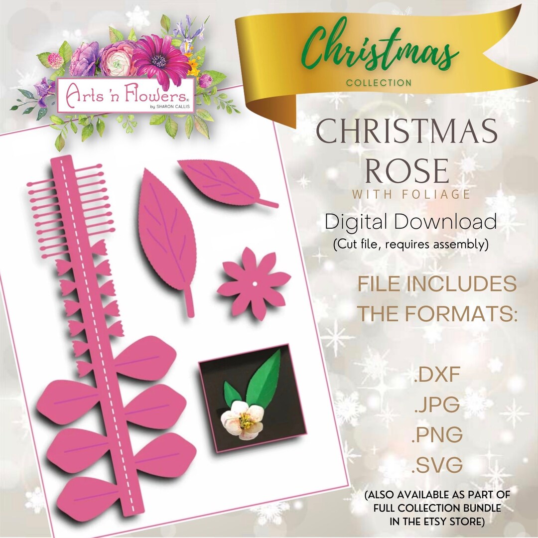 Digital 'christmas Rose' Cut File, Sharon Callis, Christmas, Svg, Png ...
