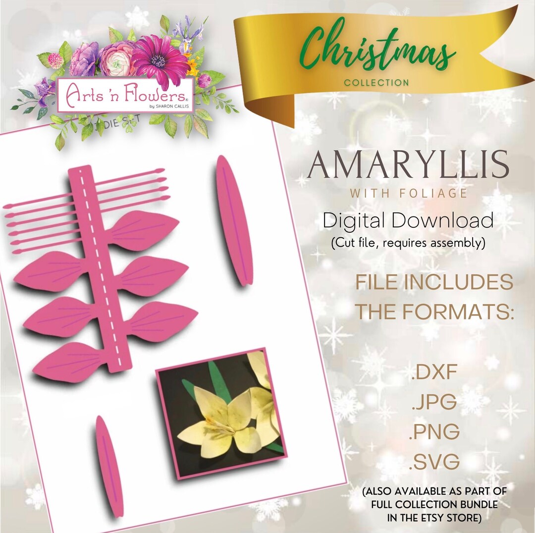 Digital 'amaryllis' Cut File, Sharon Callis, Christmas, Svg, Png, Dxf ...