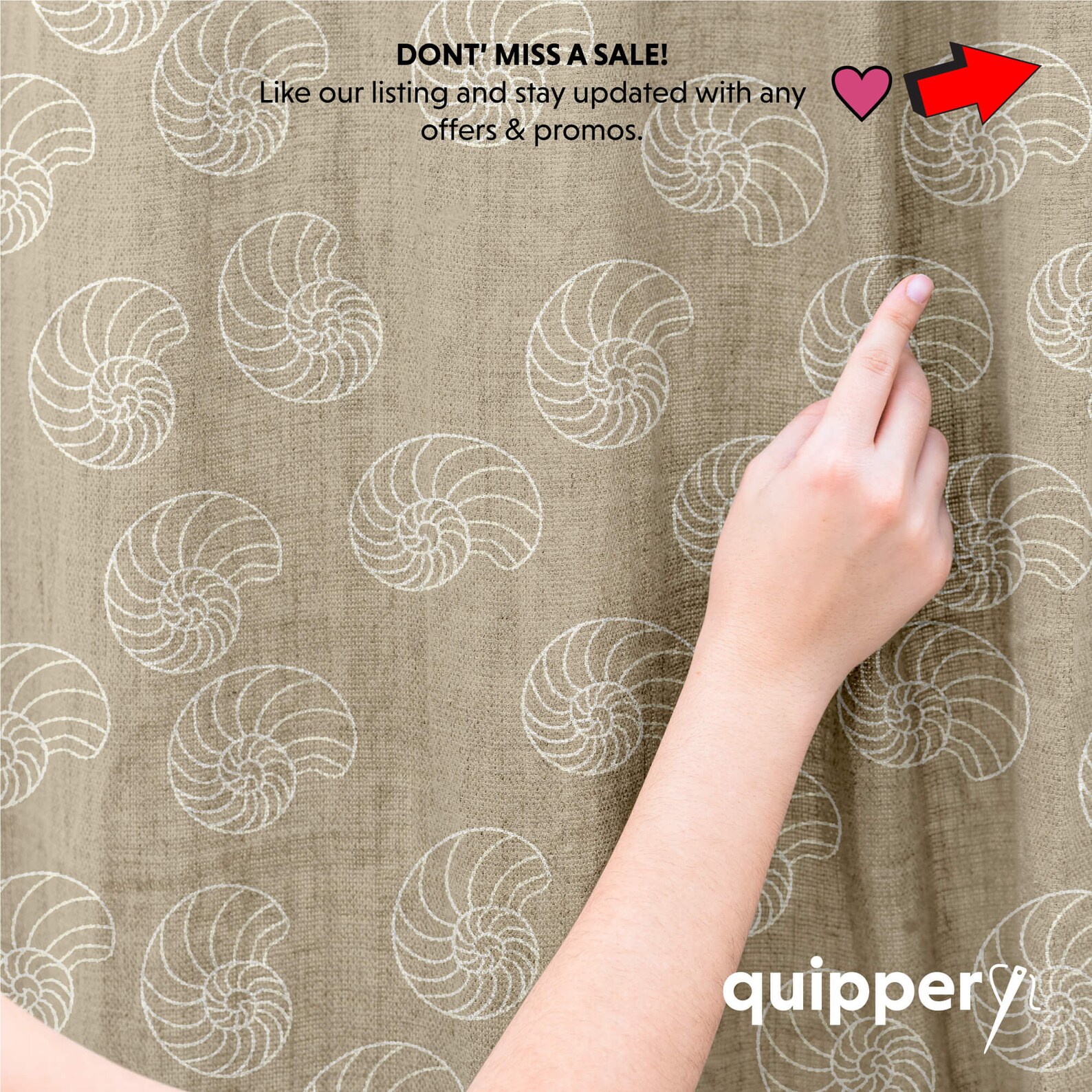 Beach Creations Machine Embroidery Designs Boho Decor Clam - Etsy