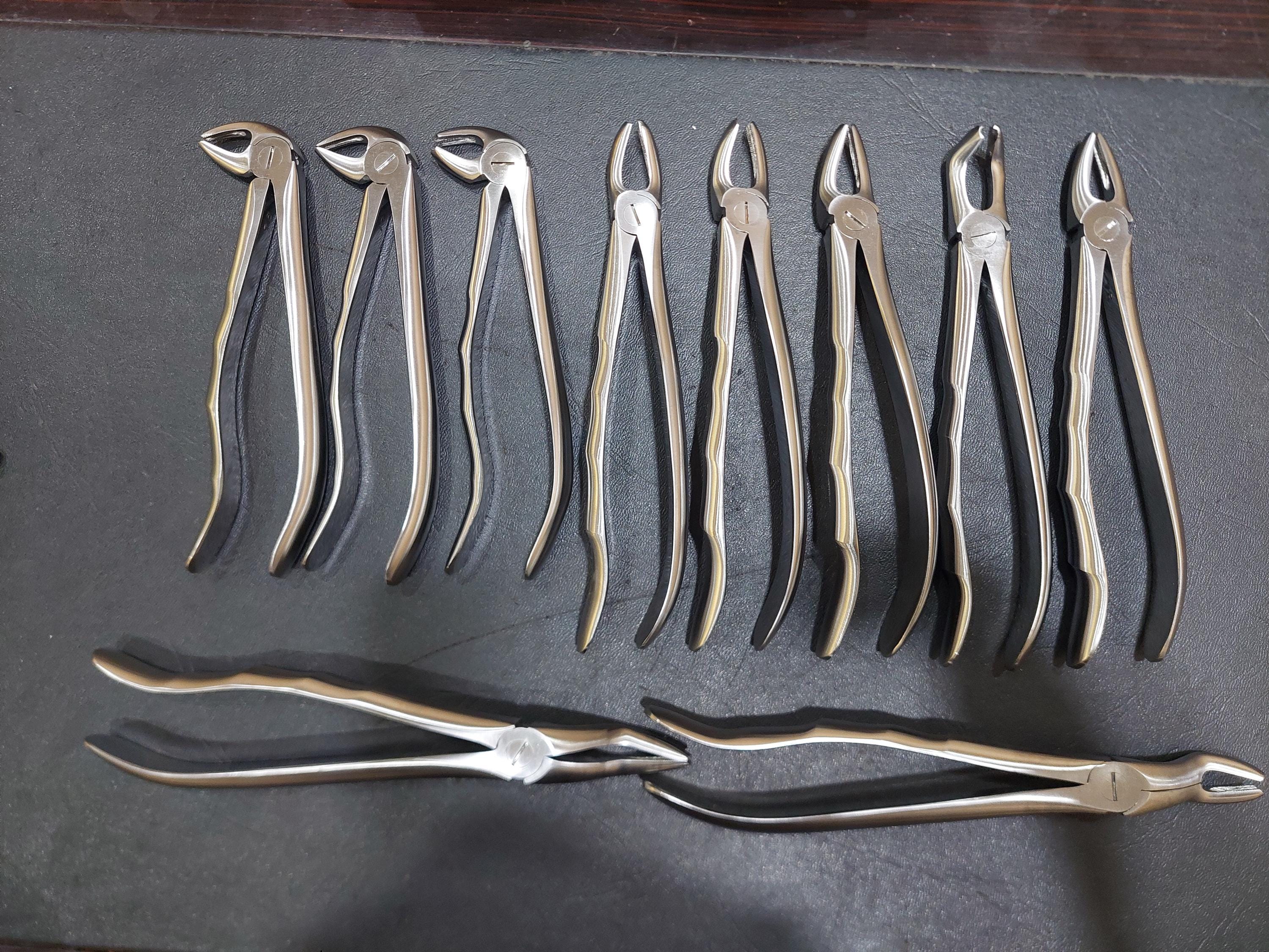 Dental Extracting Forceps Finger Pattern Handle Set of 10 - Etsy