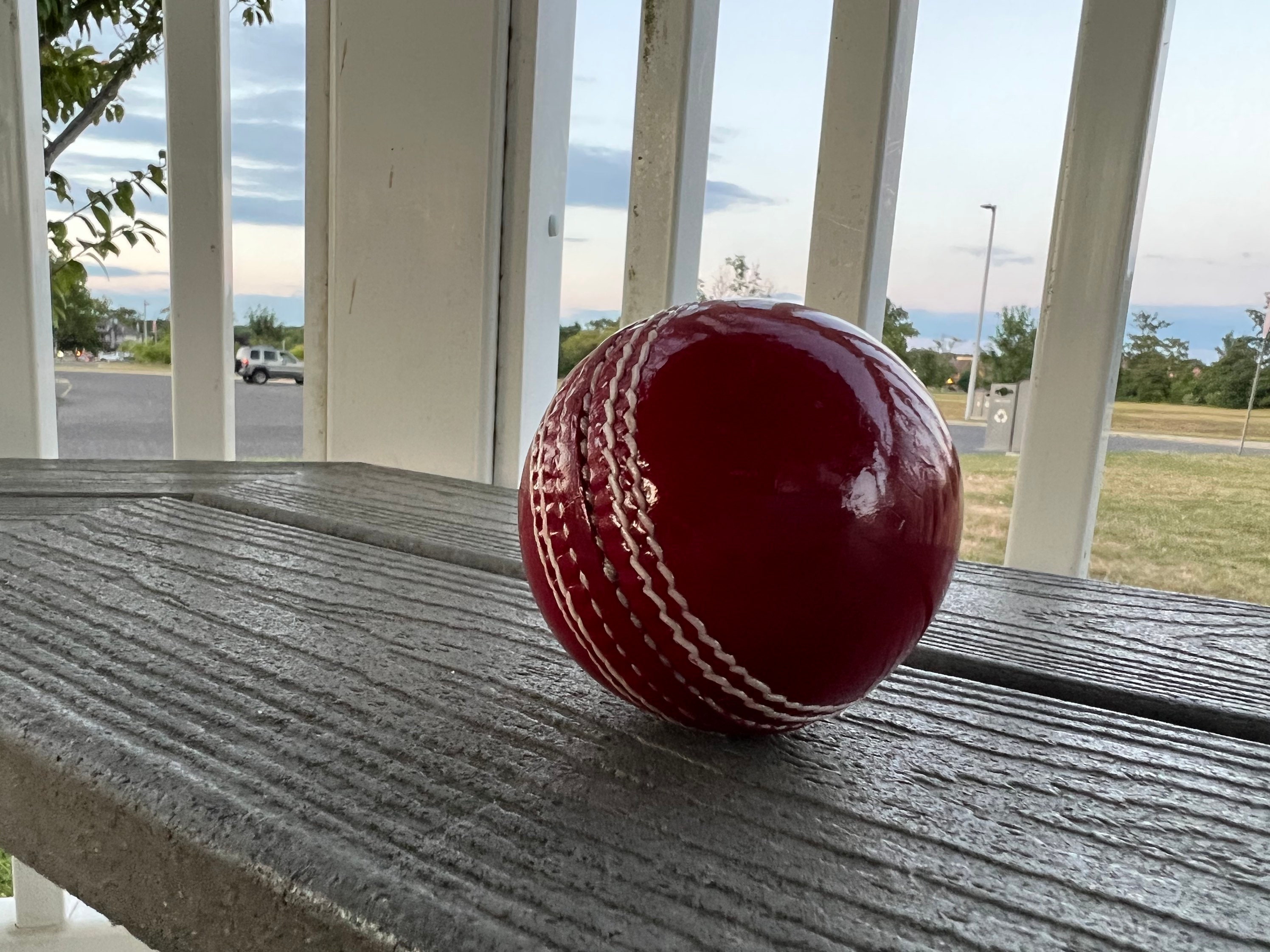 Cricket Hard Ball - Etsy