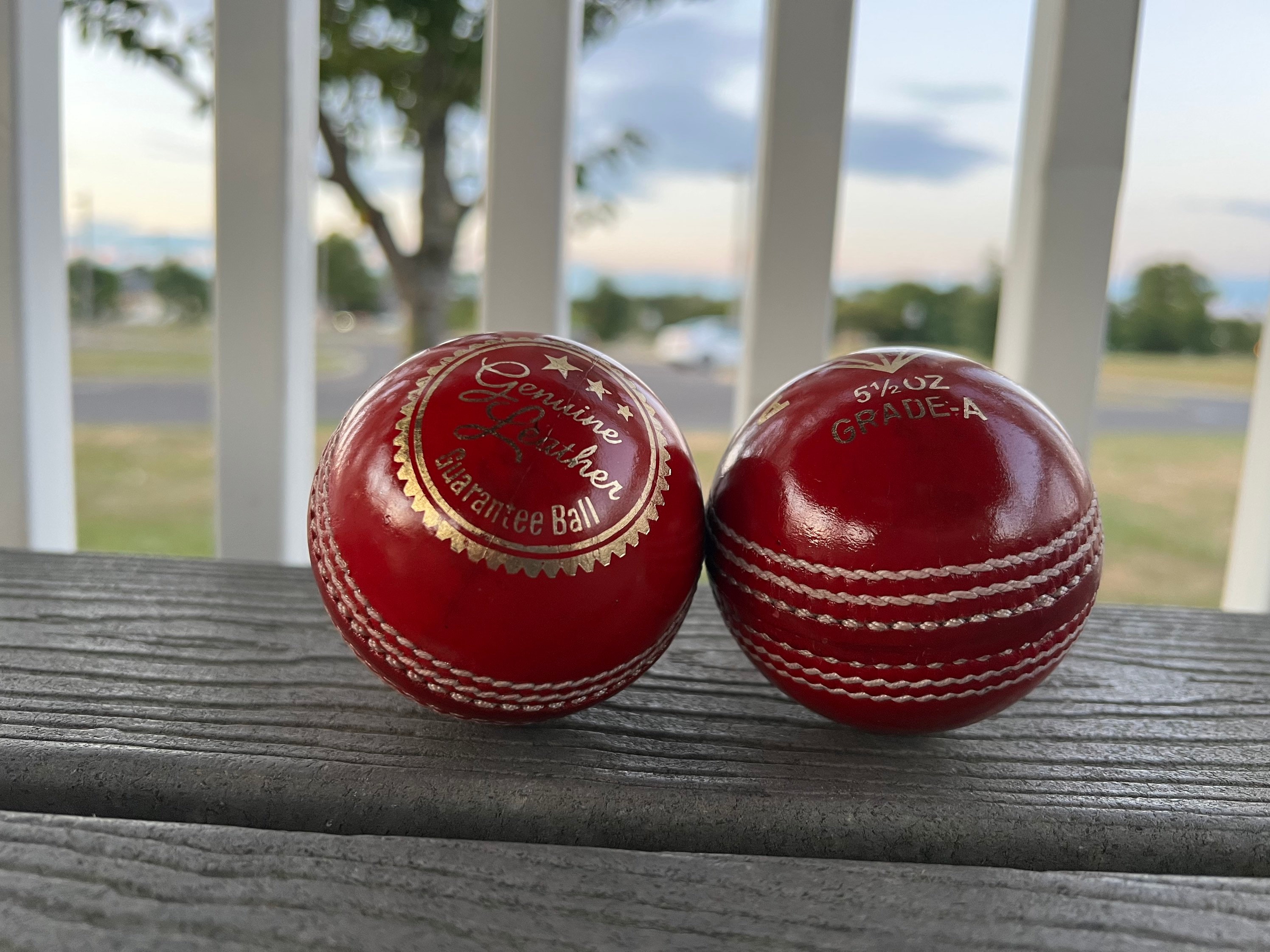 Cricket Hard Ball - Etsy