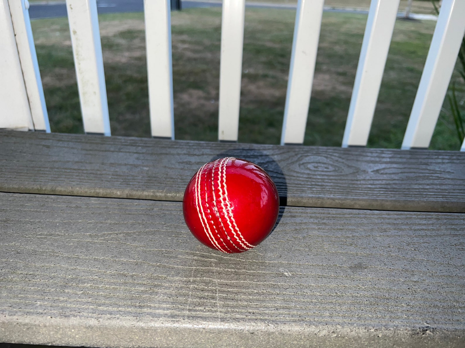 Cricket Hard Ball - Etsy