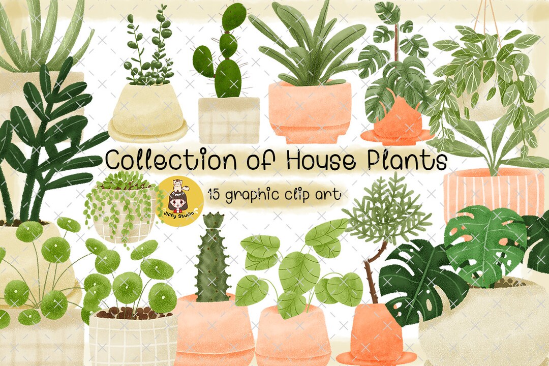 Potted Plant Clip Art: Hand-drawn Succulents, Houseplants (digital ...