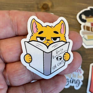 15 Book Tok Sticker Bundle / Bundle of Stickers / Waterproof Sticker ...