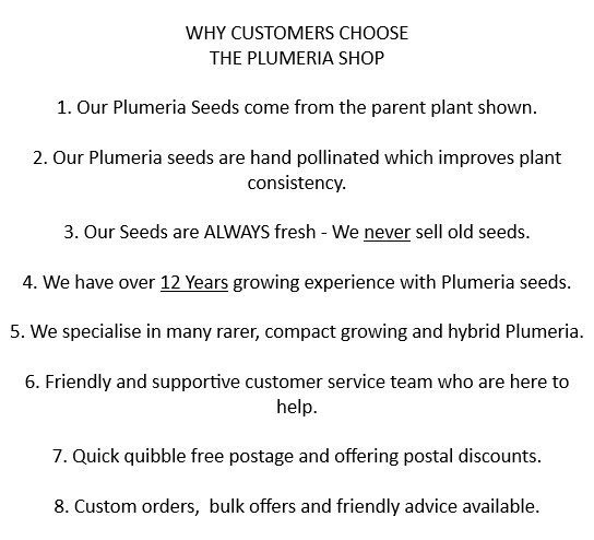 Plumeria Rubra 'wishy Washy' Apocynaceae Sabi Star Frangipani Hawaiian ...