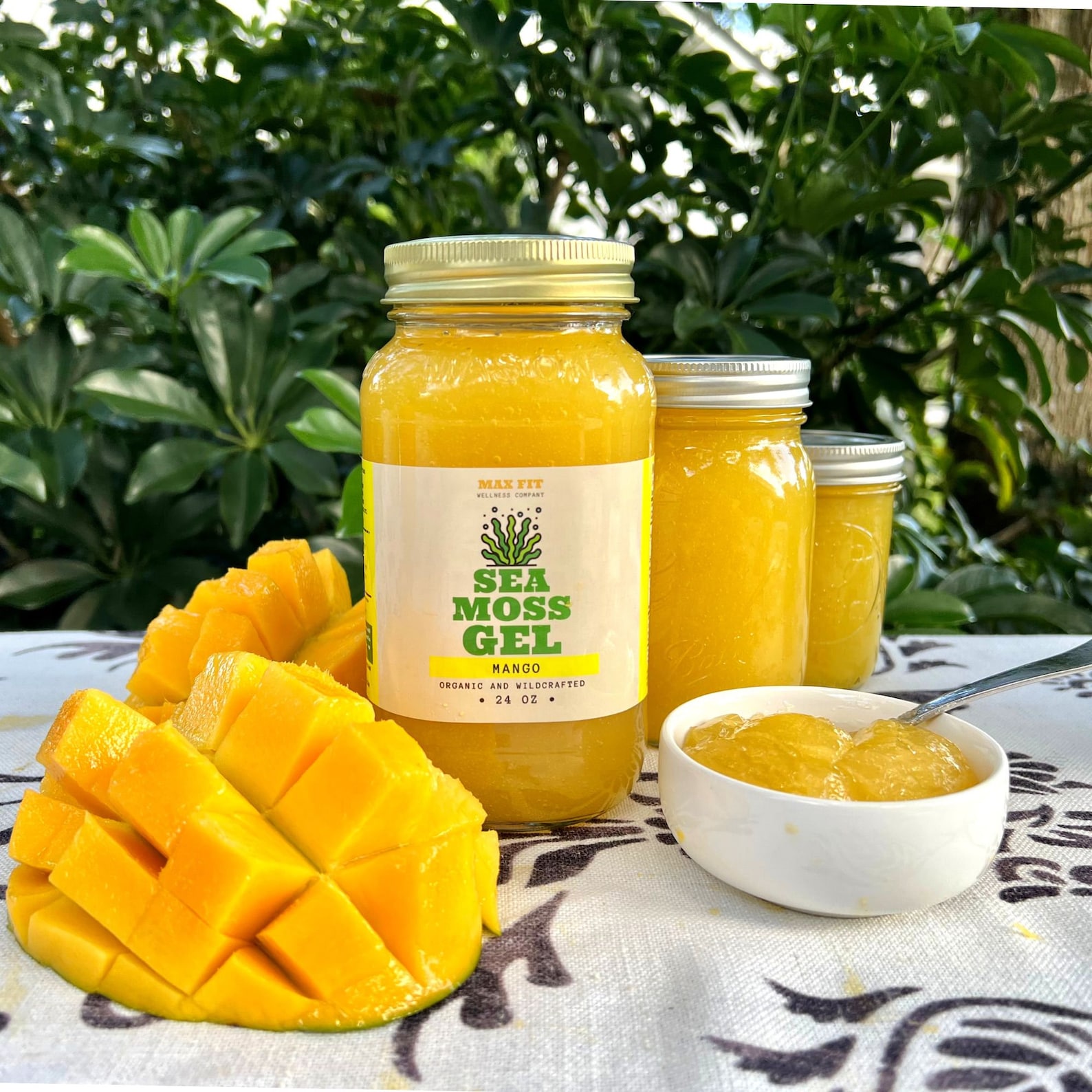 Organic Pure Sea Moss Gel Wildcrafted Irish Seaweed Moss - Etsy