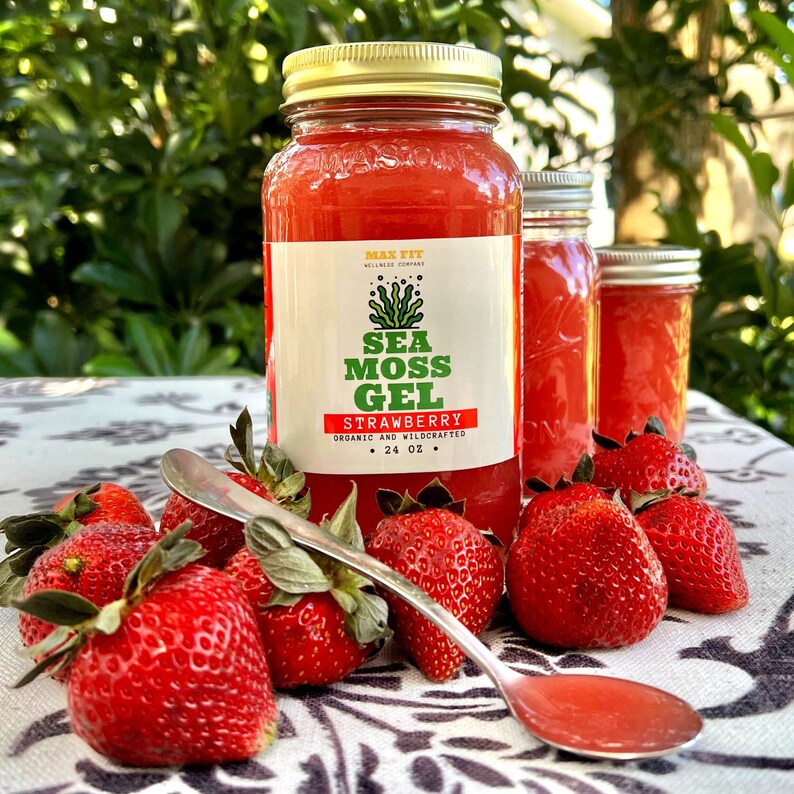 Organic Pure Sea Moss Gel Wildcrafted Irish Seaweed Moss - Etsy