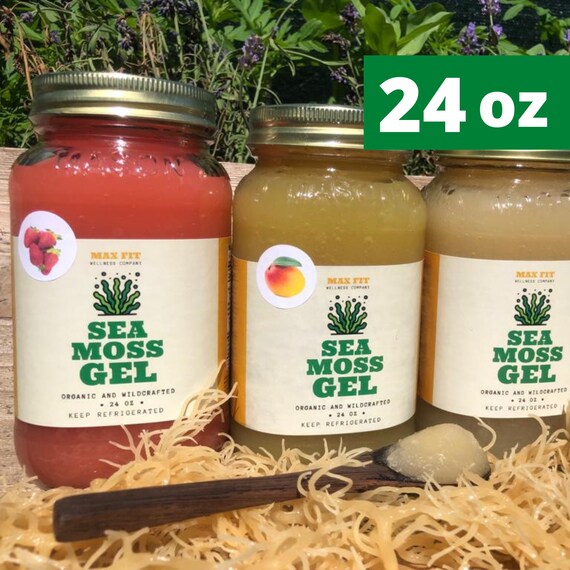 Organic Pure Sea Moss Gel Wildcrafted Irish Seaweed Moss - Etsy