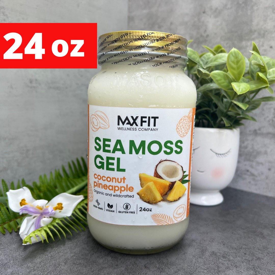 Wildcrafted Gold Sea Moss Gel - Premium Sea Moss Gel With Coconut ...