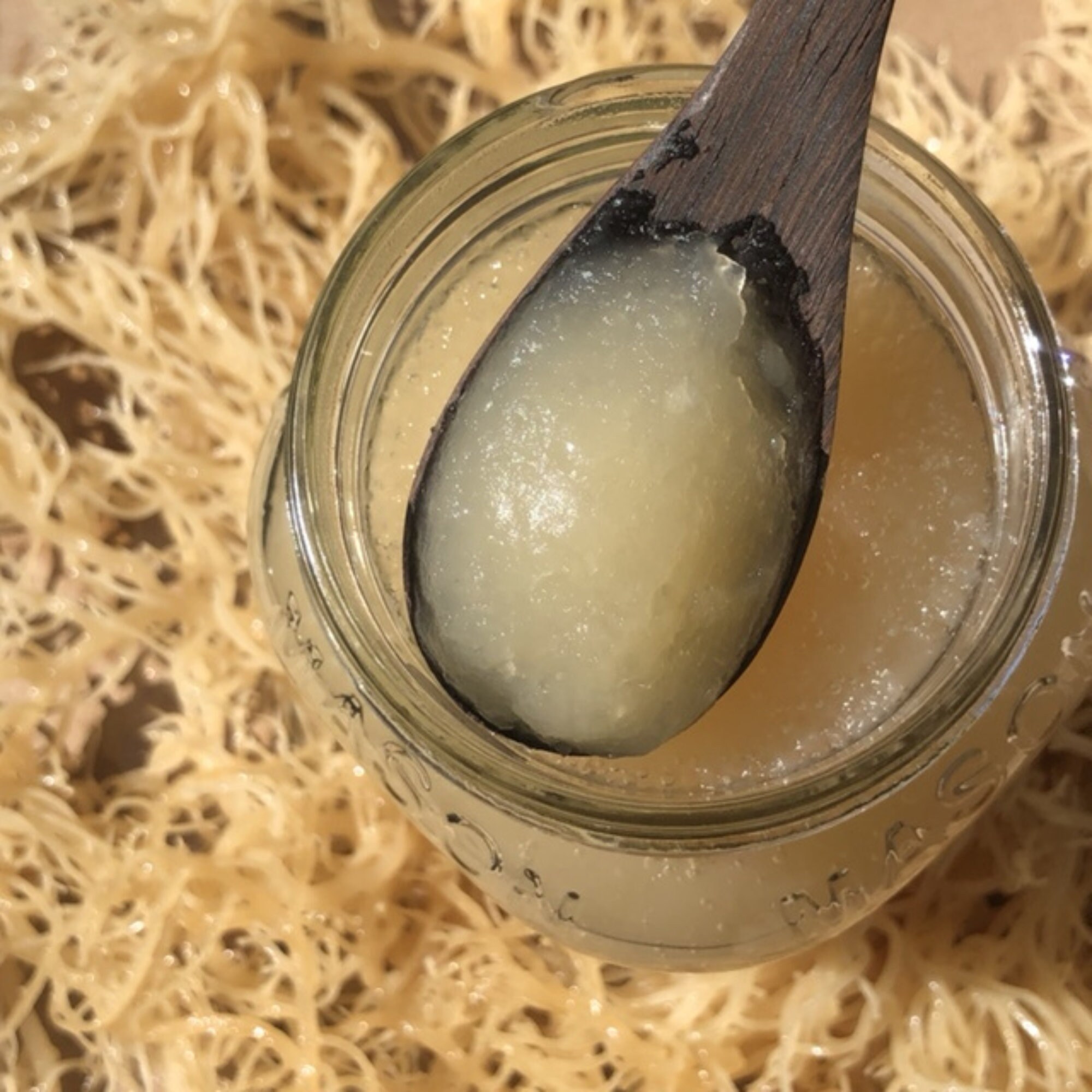 Organic Pure Sea Moss Gel Wildcrafted Irish Seaweed Moss - Etsy