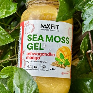 Organic Pure Sea Moss Gel - Wildcrafted Gold Sea Moss From Saint Lucia ...