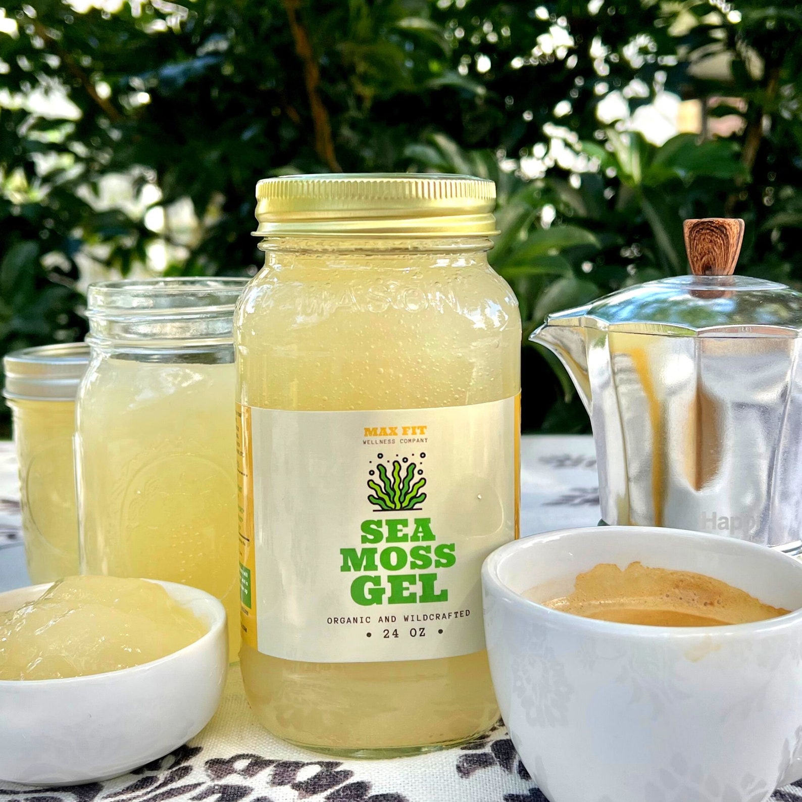 Organic Pure Sea Moss Gel Wildcrafted Irish Seaweed Moss - Etsy