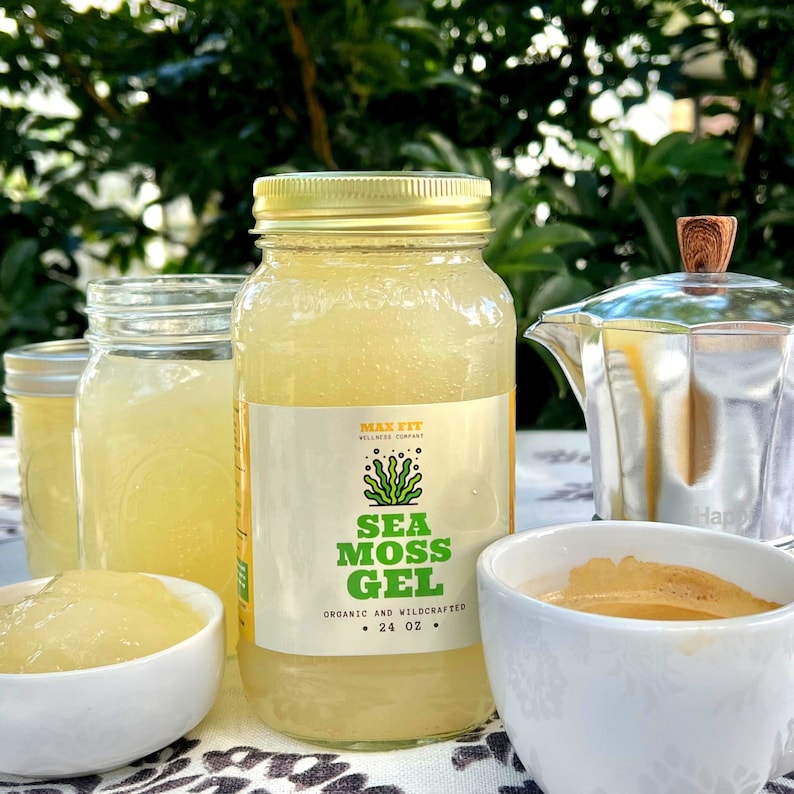 Organic Pure Sea Moss Gel Wildcrafted Irish Seaweed Moss - Etsy