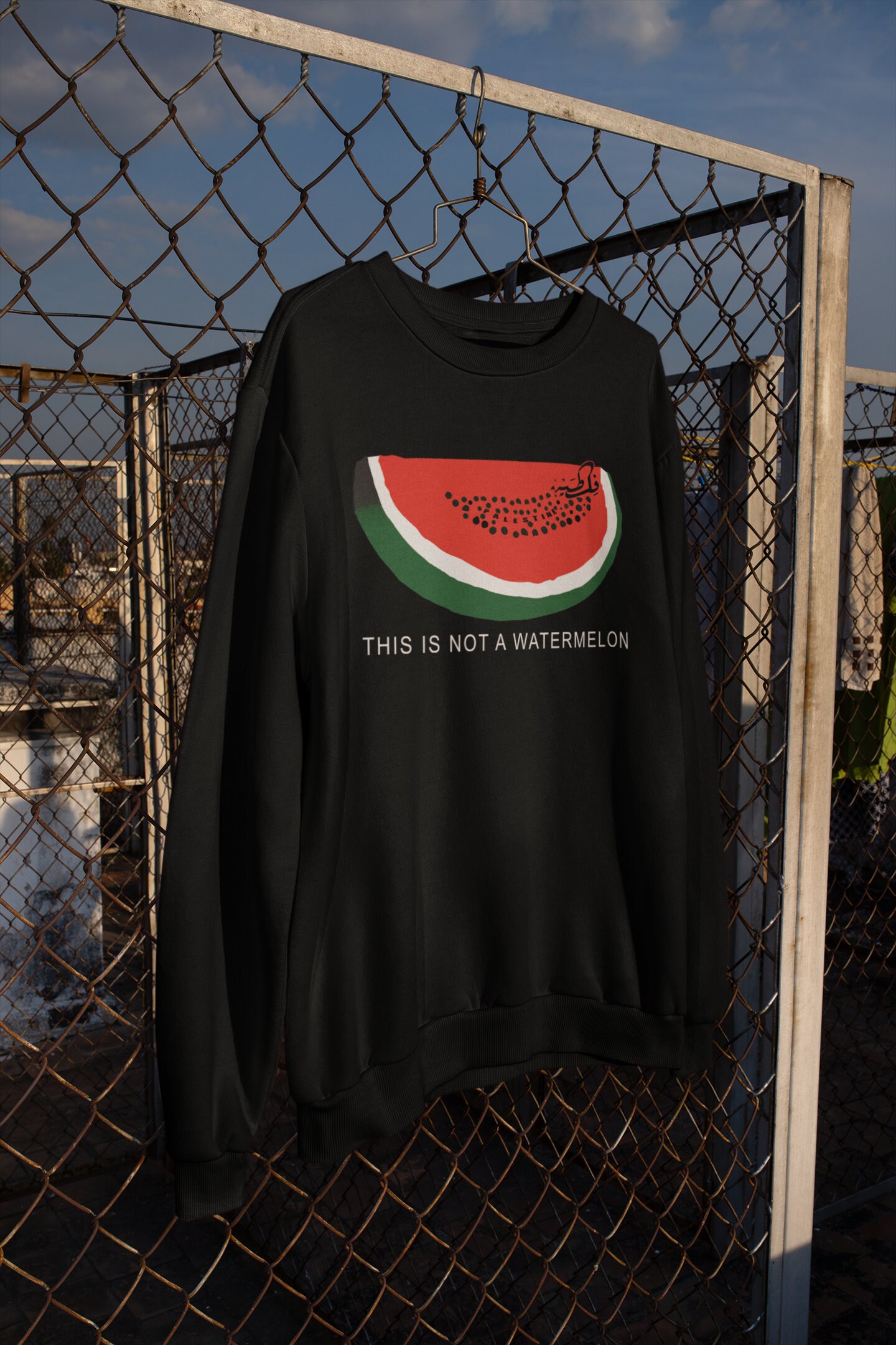 Palestine Watermelon Hoodie,this is Not a Watermelon' Palestine ...