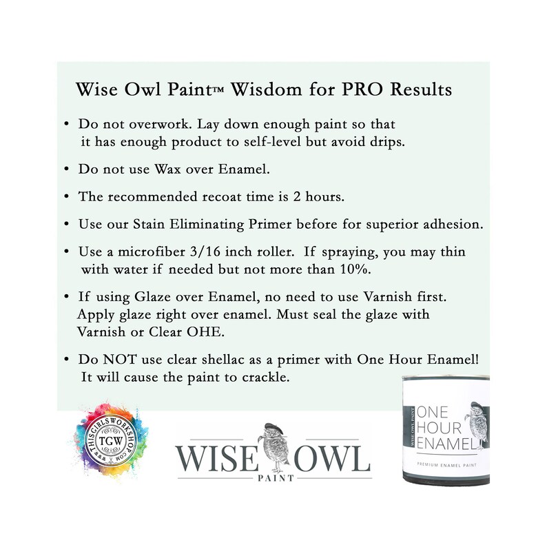 Natural Light One Hour Enamel - Wise Owl Paint - Etsy