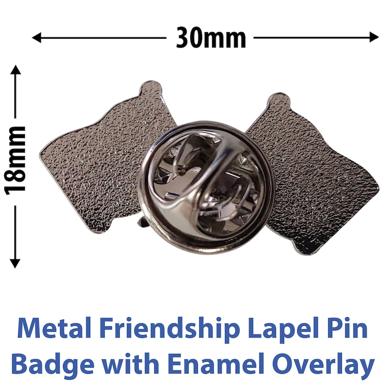 Scotland & Northern Ireland Flag Friendship Pin Badge Enamel Small ...